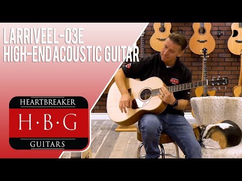 LR Baggs Stage Pro Element Acoustic Guitar pickup system with | Reverb