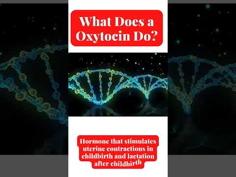What does a oxytocin do? #oxytocin #hormones