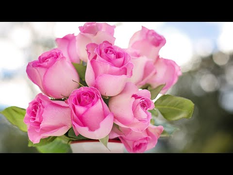 use free music for YouTube:Where can I get free music for Youtube?:
