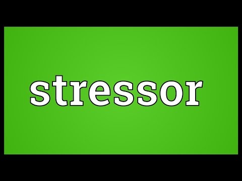 Stressor Meaning