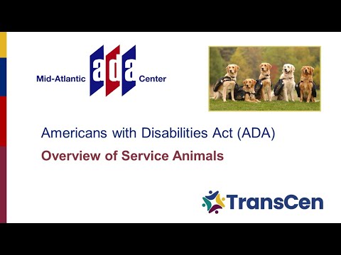 Overview of Service Animals