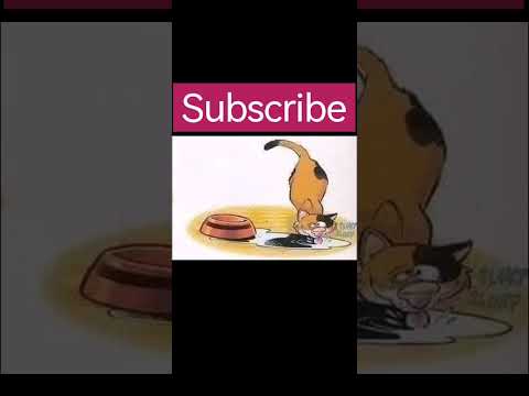 Funny comic strip cat