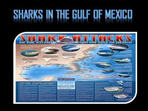 Fishing Charts