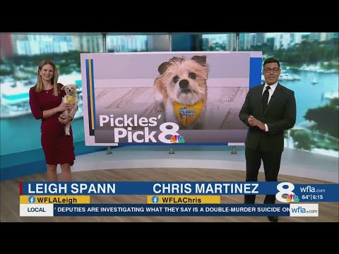Pickles' Pick