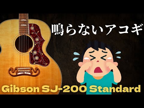 アコギ界のKING【Gibson SJ-200 Standard】2014年製 FISHMAN/ Ellipse AURA Pickup(完全予約制 名古屋アコギ専門店 オットリーヤギター)