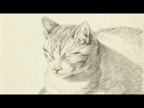 Vintage TV Art Wallpaper | Cat in the Sun Drawing | Single Image 1 Hour No Sound
