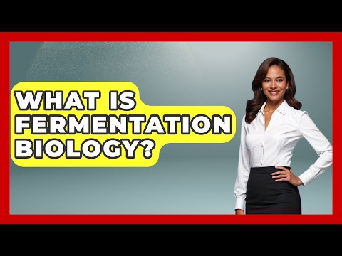 What Is Fermentation Biology? - Biology For Everyone