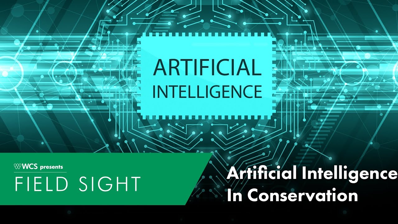AI in Conservation