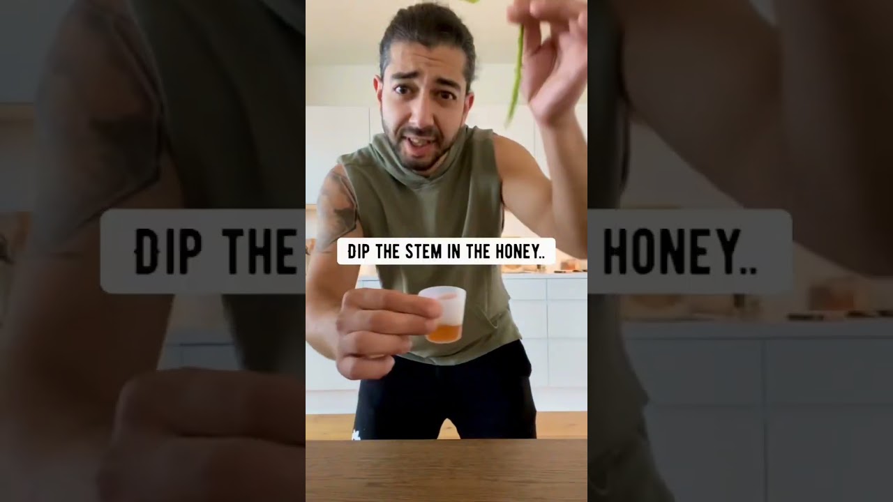 How to Clone Dying Roses to Grow New Roses Bushes | creative explained