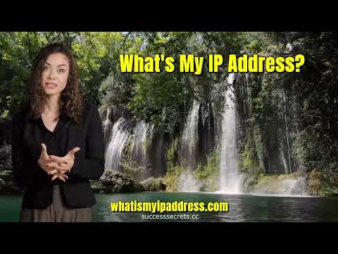 What’s My IP Address? (And Why the Internet Knows More About You Than Your Mom)