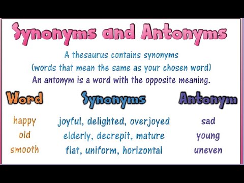 Q2W5 Synonyms & Antonyms