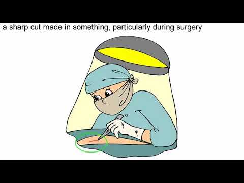 incision meaning | Vocabulary for Kids | Children's Dictionary | Learn English Vocabulary