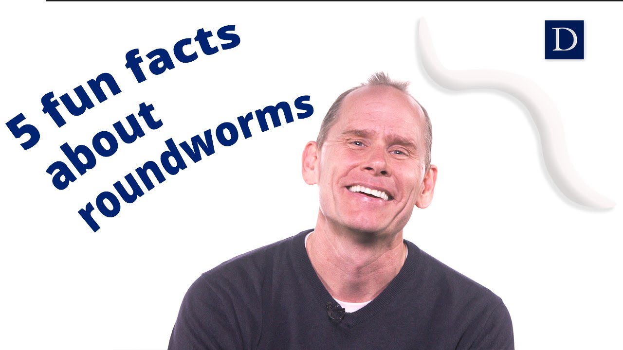 5 Fun Facts about Roundworms