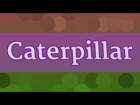 CATERPILLAR pronunciation • How to pronounce CATERPILLAR