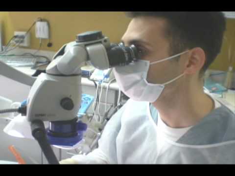 Dr. Victor A. Peritore, latest addition to the Pannu Dental Clinic ...