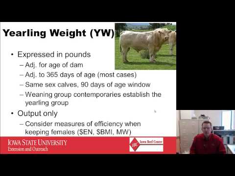 EPD Basics: Part 2 - Growth Traits