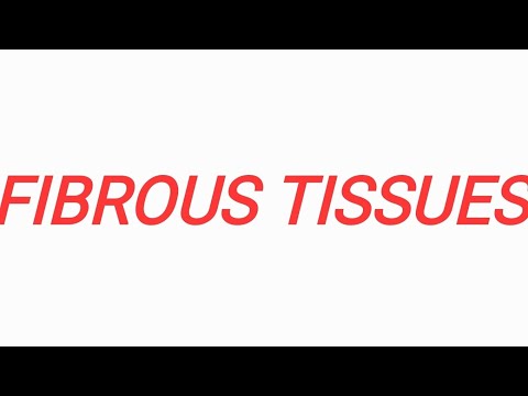 FIBROUS TISSUES (CONNECTIVE TISSUES)