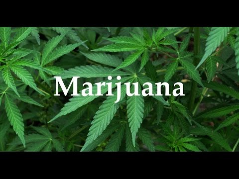 Slang Words for Weed