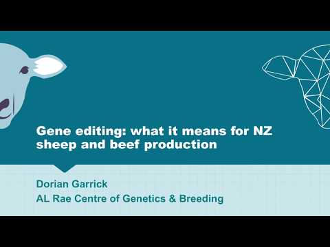 Gene editing: What it means for New Zealand sheep & beef production?