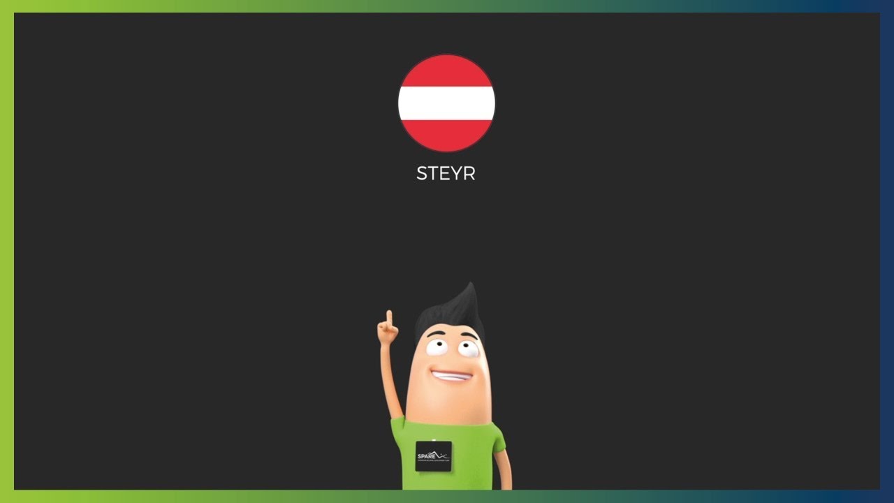 STEYR SAV | Coaching-kit for focal actors in PCSs