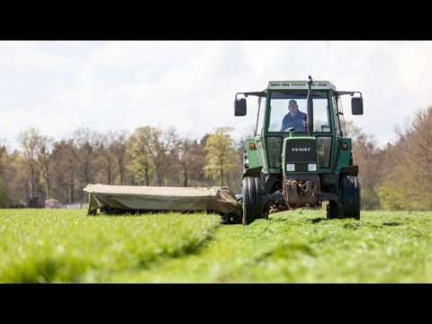 How Holland Became The Most Efficient in the Agricultural Field
