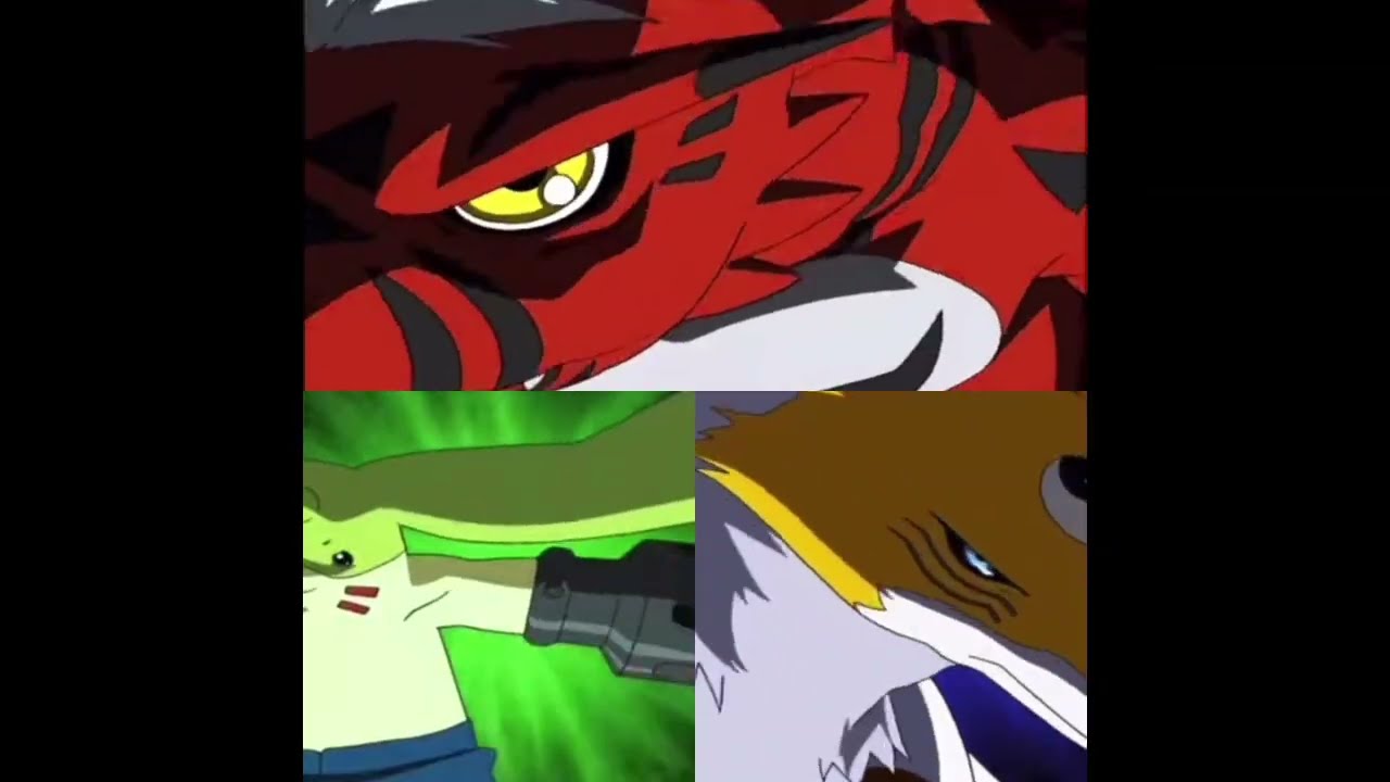 Guilmon, Terriermon and Renamon Digivolution