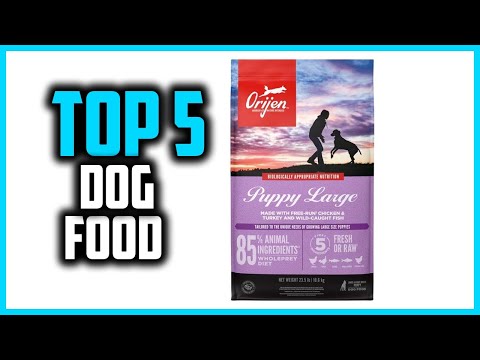 ✅Top 5 Best Dog Foods For Great Pyrenees in 2025