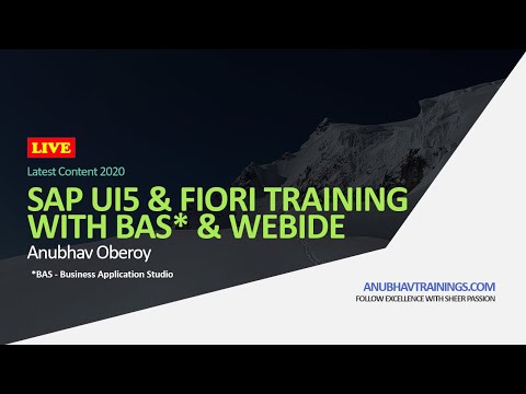 Learn Live Demo SAP UI5 and Fiori Training with Business Application Studio | Fiori Training ...