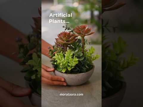 Greenery that’s easy to maintain - Artificial Plants by Mora Taara