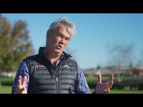 Pukekohe Park | Mark Chitty