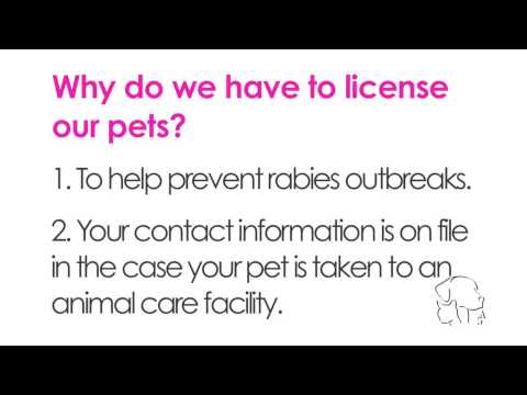 Animal Services Vet Message - Licensing in El Paso