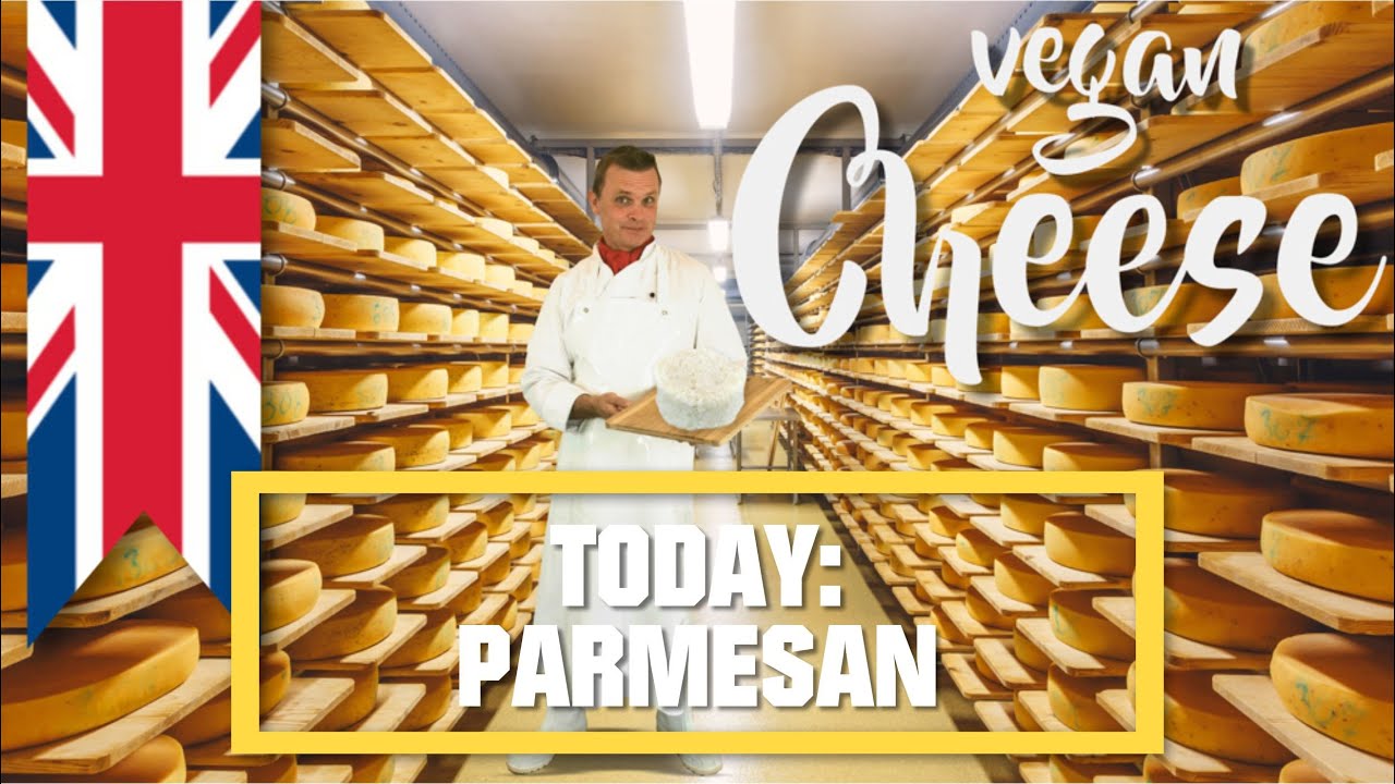 vegan cheese dairy: vegan parmesan, delicious, quick and easy