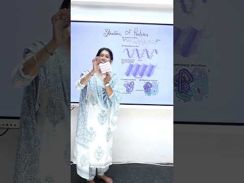 Structure of Proteins 🛠️ | NCERT Biology Class 11/12 | Quick Overview"