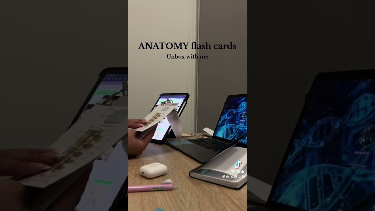 flashcard anatomia