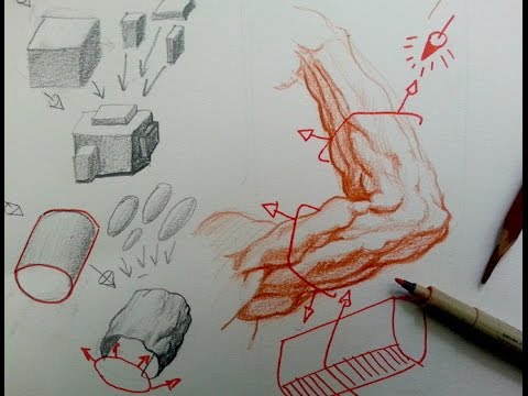 How to Shade Complex Forms - major mass FIRST; minor SECOND Video ...