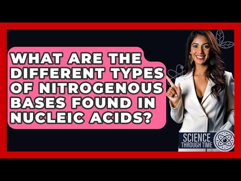 What Are The Different Types Of Nitrogenous Bases Found In Nucleic Acids? - Science Through Time