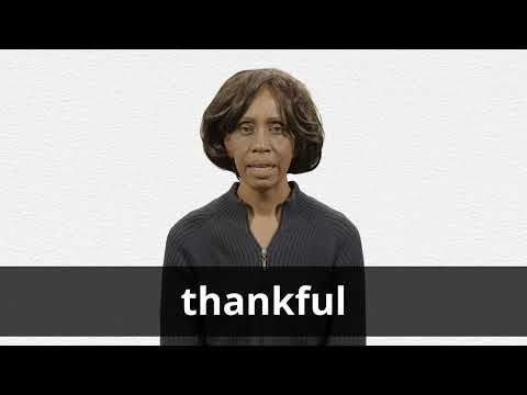 THANKFUL 释义 | 柯林斯英语词典