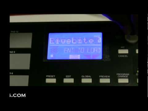 AKAI MPK49 Instructional DVD: Lesson 3 from samplekings.com