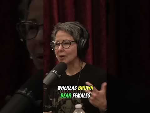 Polar Bear Secrets On JRE #animals