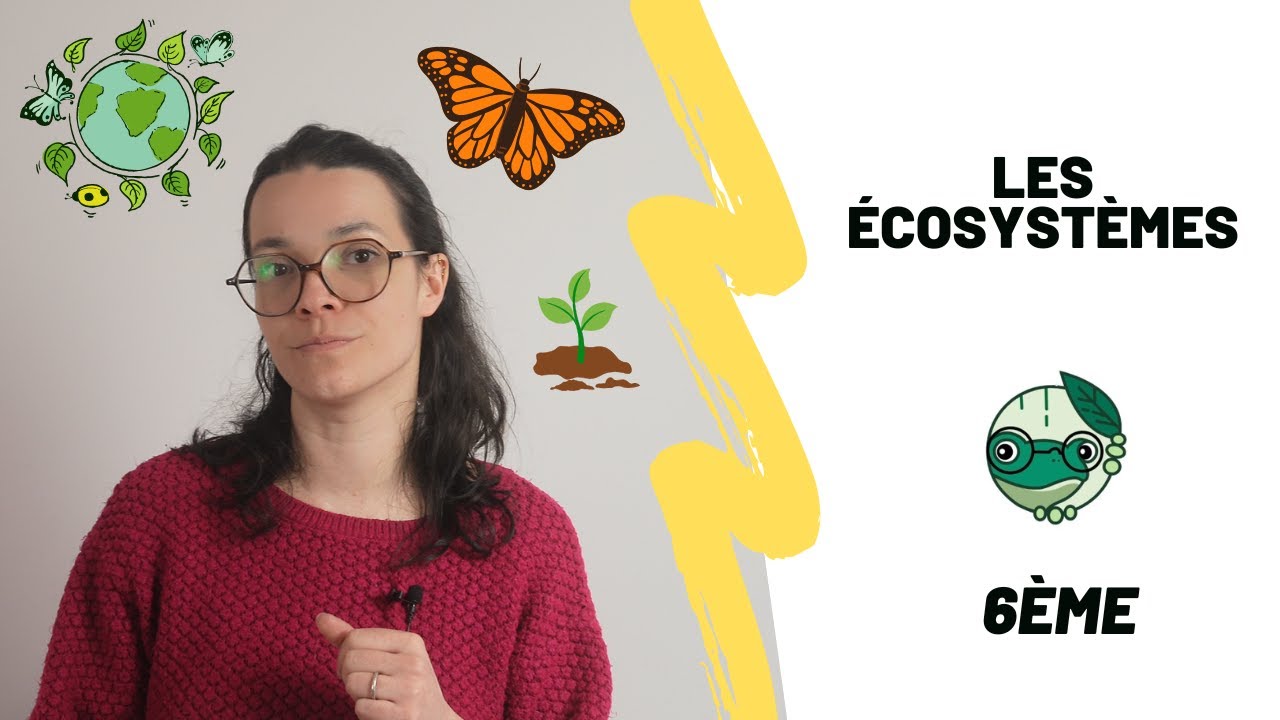 Ecosystems - 6th grade - Madame SVT