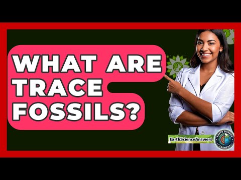 What Are Trace Fossils? - Earth Science Answers