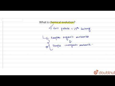 What is chemical evolution ?