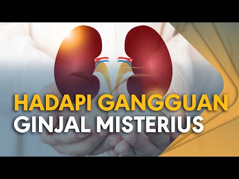Ini Rekomendasi dari Ikatan Dokter Anak (IDAI) untuk Gangguan Ginjal Akut Misterius