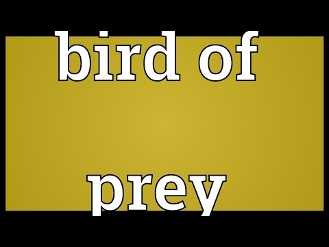 Bird of prey Meaning