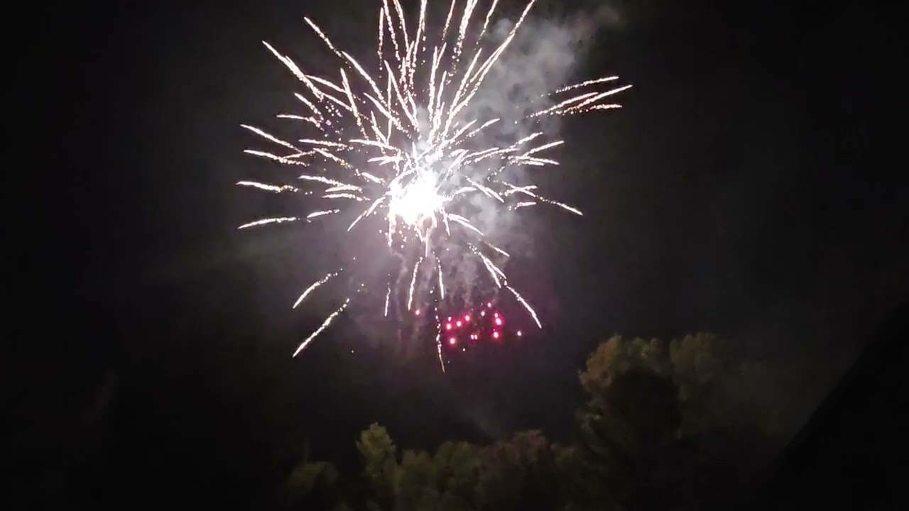 Backyard Pyro Twins 2024 Show#1.4pro#fireworks#racoonfireworks