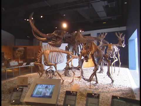 Indiana State Museum Promo