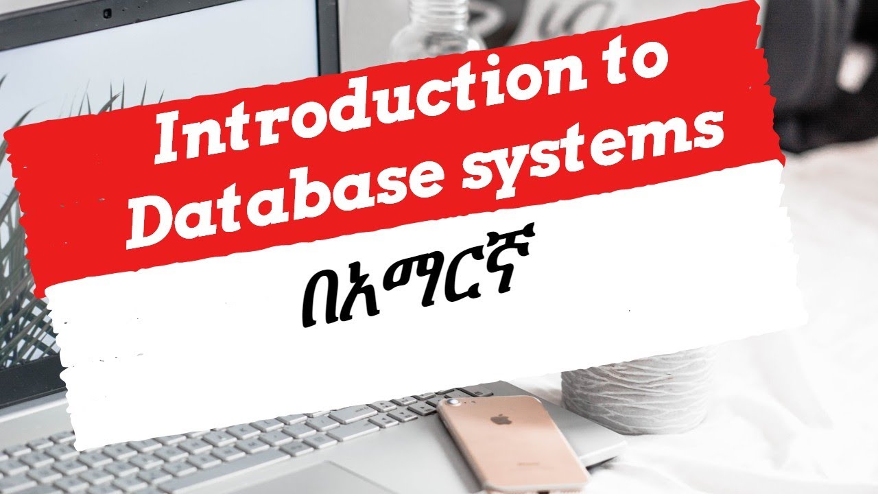 what is database and database management system part 1 Amharic/በአማርኛ