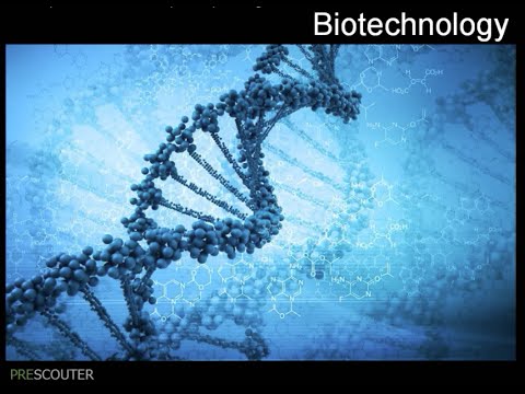 Applications of Biotechnology in Agriculture