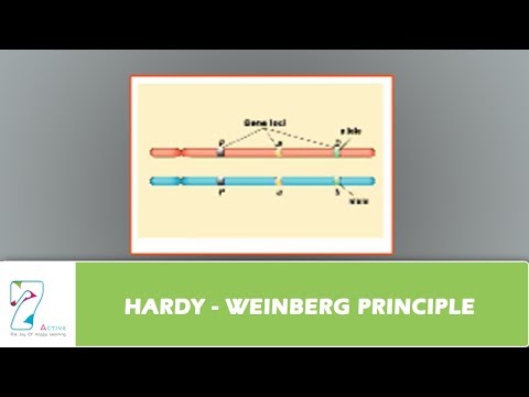 HARDY - WEINBERG Principle Video Lecture - Class 10