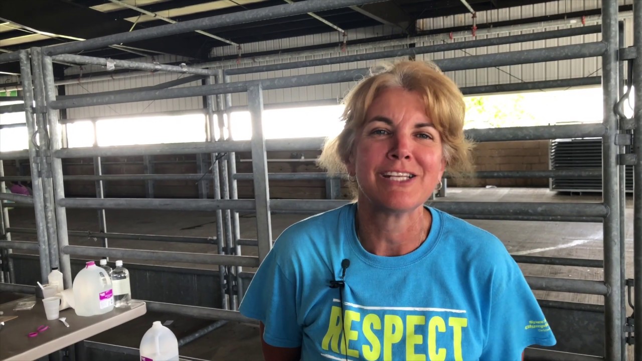 What is Cooperative Extension?